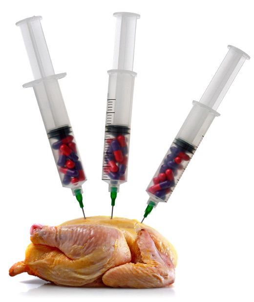 INFO : Ayam Suntik: 10 Perkara Wajib Tahu Untuk Kesihatan Anda - Harian ...