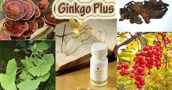 Feed your Brain with Forever Ginko Plus
