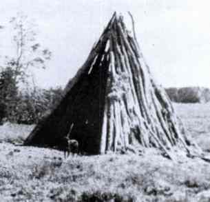 Orígenes Selk´nam: VIVIENDAS SELK´NAM