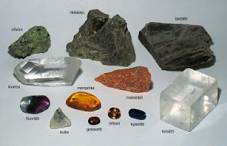 Every Day Is Special: January 29 – National Curmudgeons Day