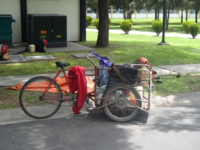 Golden Opportunities in the MCA: The CCM (MTC in Spanish) is NUTS!