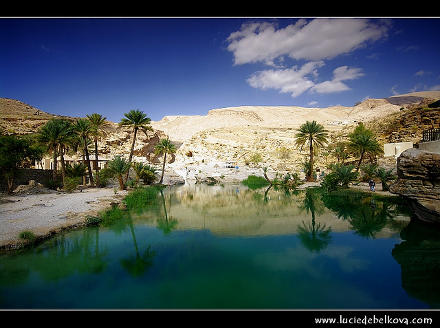 Alyssa's Blog!: Arabian Oasis