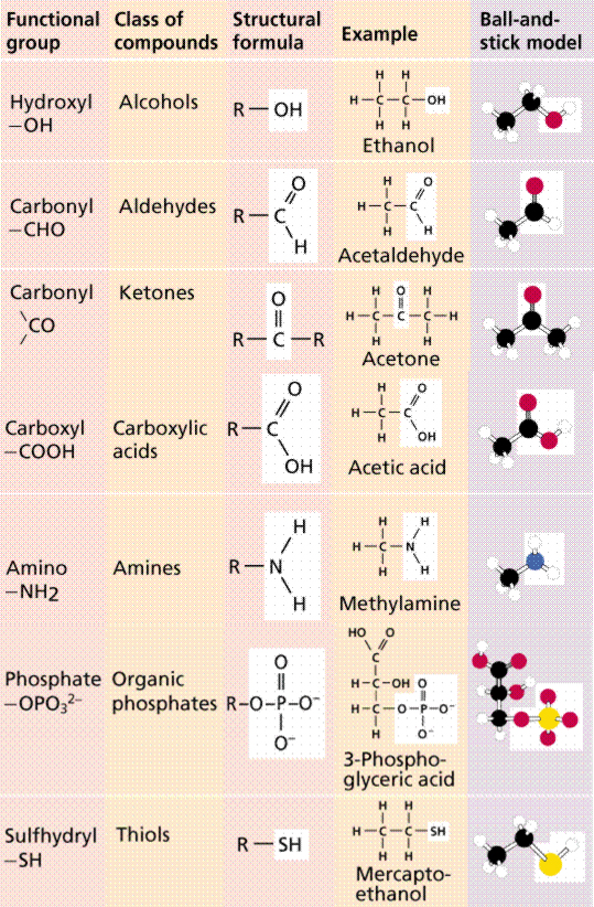 เรียนชีววิทยา กับครูกศนต์ ภารยาท: 2017