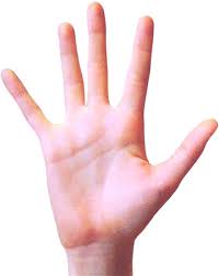 Bad Hand & Good Hand In Palmistry ~ INDIAN PALMISTRY | PALM READING ...