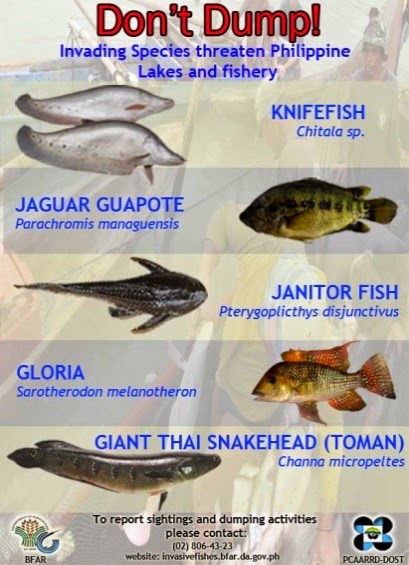 IEC Materials - BFAR-PCAARRD Providing Network for Invasive Aquatic ...