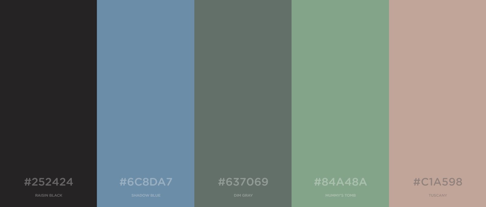 EXPLAINED! : How to Use Color Palette in Web Design