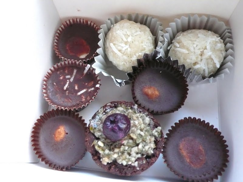 Food Endeavours of the Blue Apocalypse: Raw Decadent Desserts Cooking ...