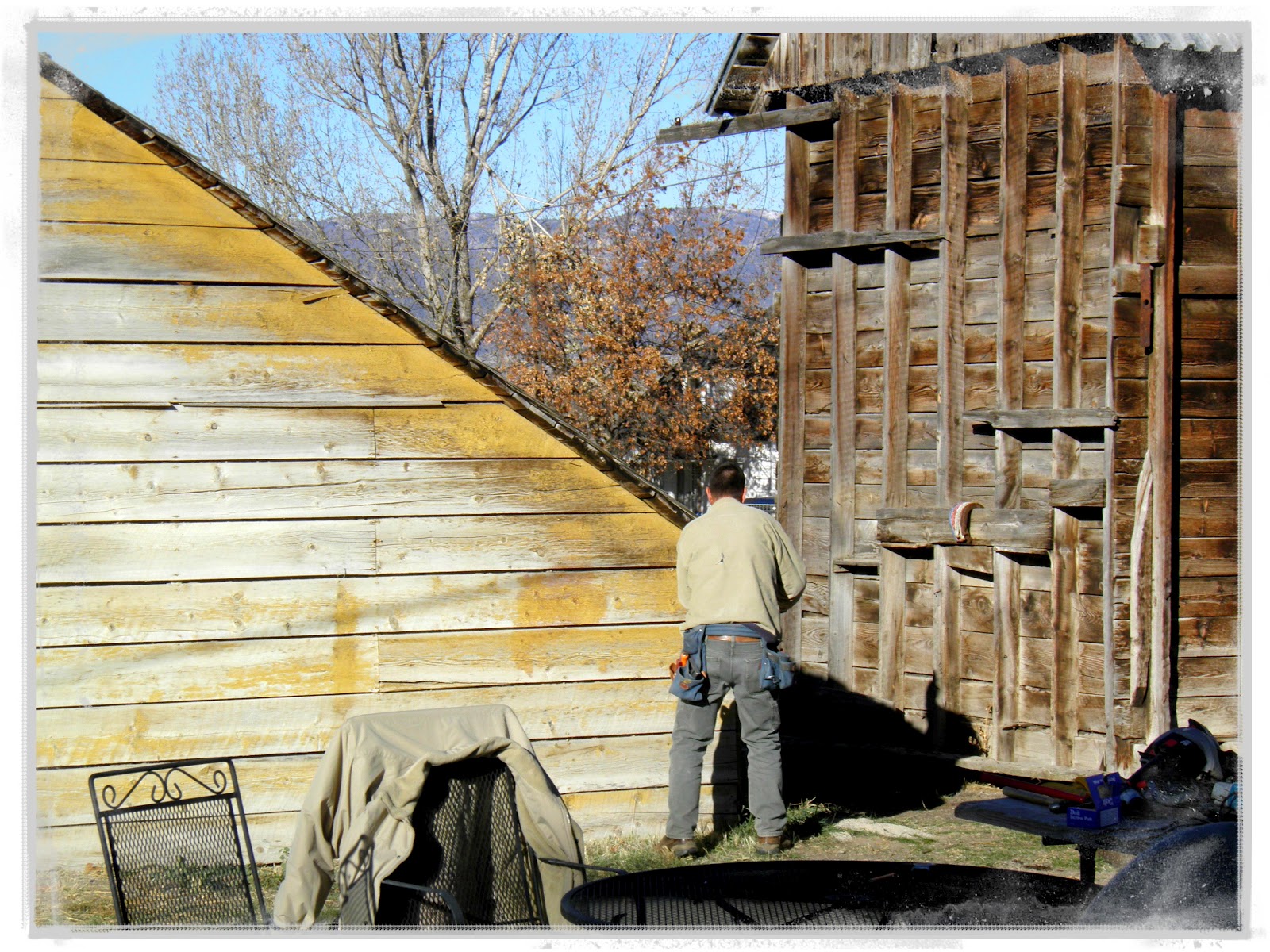 Mill Hill Meadow: Barn renovation...before, and during.