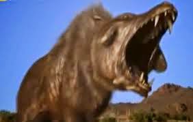 El cerdo carnívoro y asesino | Naturaleza asombrosa, maravillas naturales