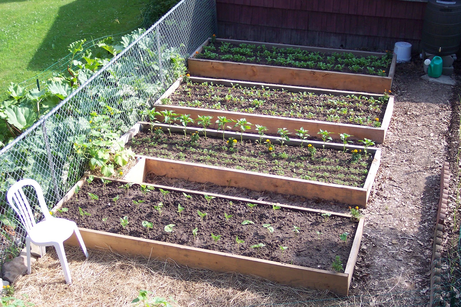 My Special Homestead - Getting Back to Basics: The Results of Raised ...