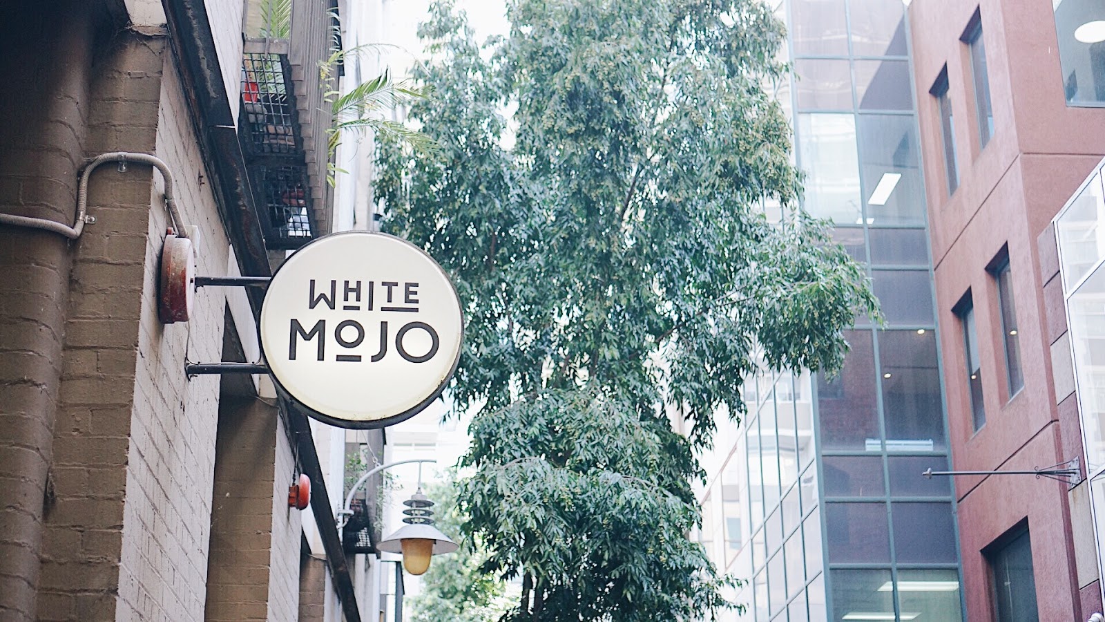 White Mojo Melbourne CBD (Review) | Laura Angelia