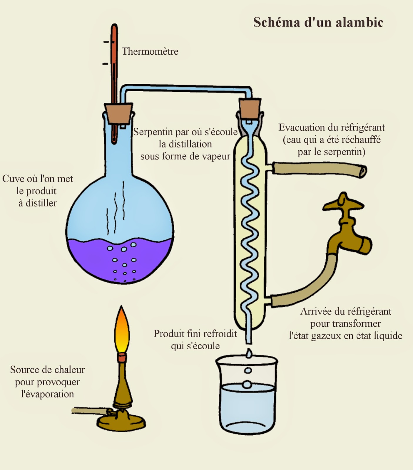 Saint Urbain 85230: 03 - Monuments et curiosités