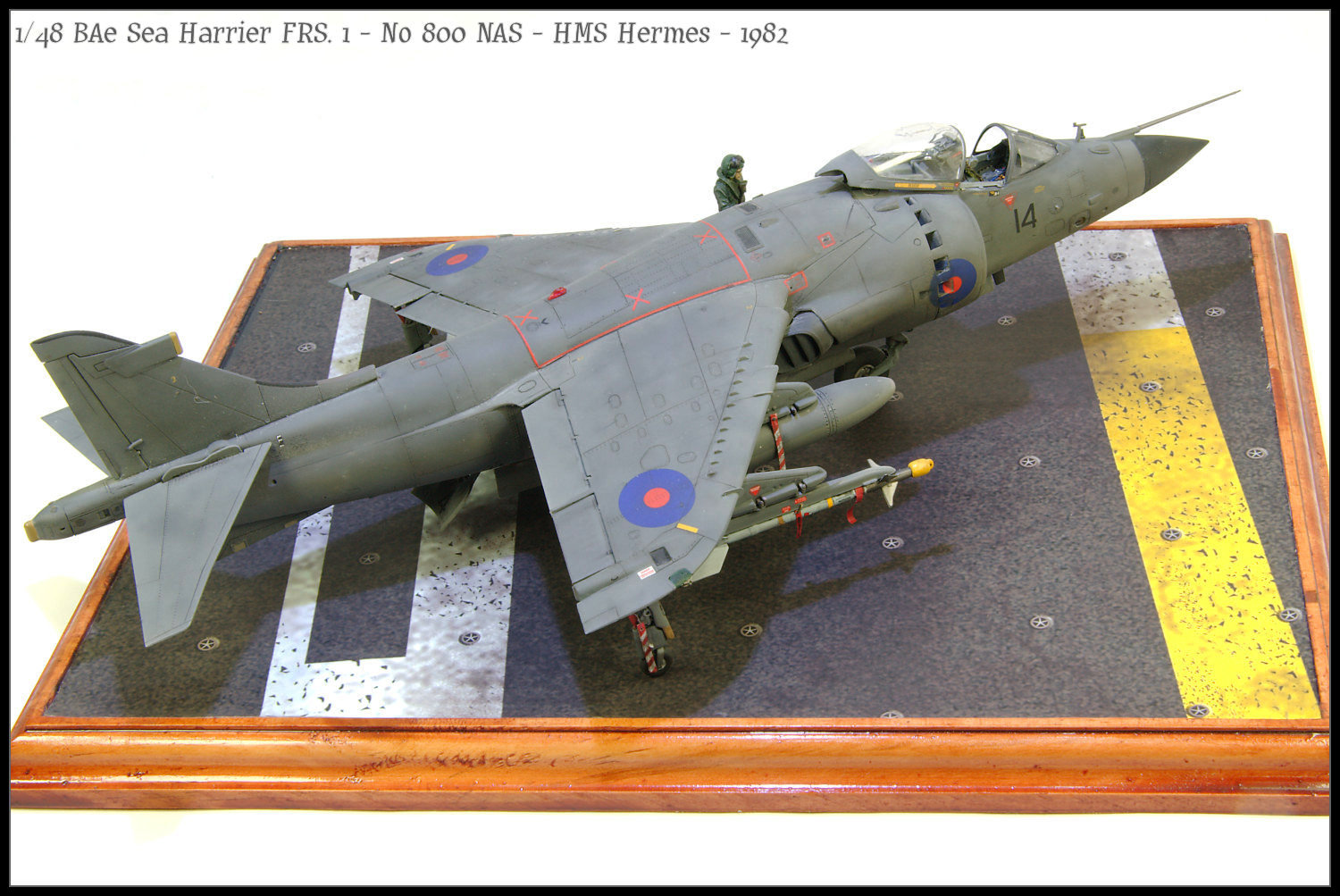 The Hamfisted Modeller: 1/48 Kinetic BAe Sea Harrier FRS.1 No 800 NAS ...