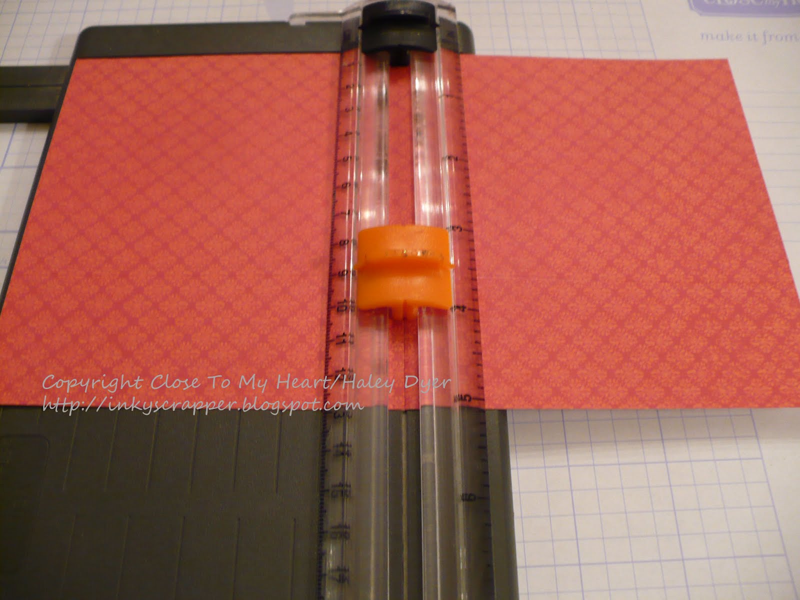 The Inky Scrapper: CTMH *New* Product Blog Hop: Fashionista and Stella