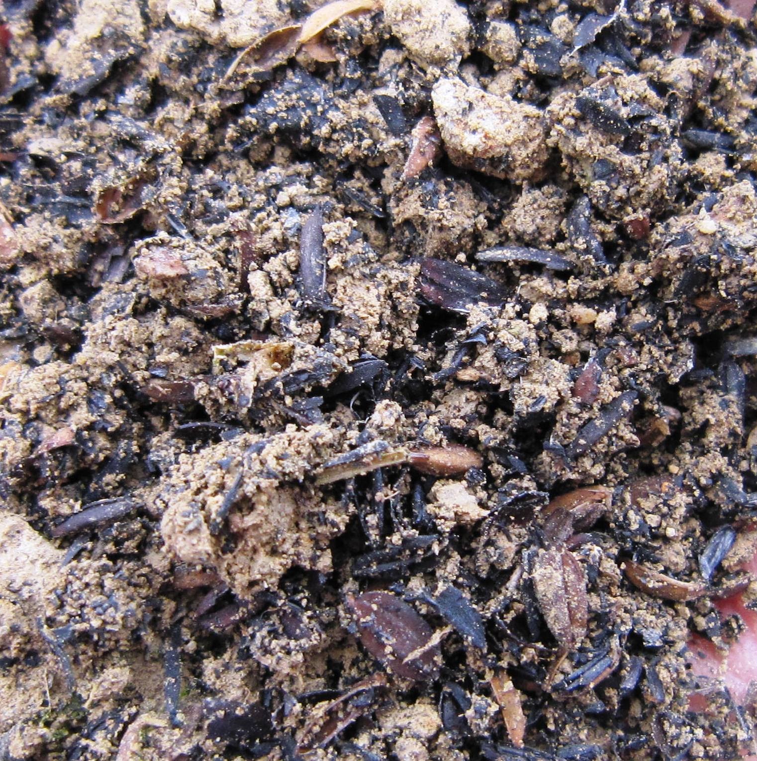 Rice husk as feedstock for biochar production.