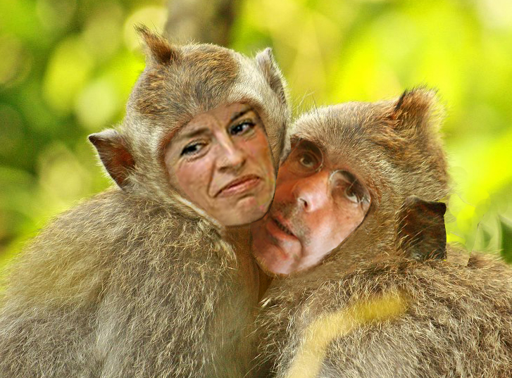 LA TIA FELISA: ¡PERO QUE MONOS SON Y CUANTO SE QUIEREN!