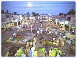 Ali pur City Punjab Pakistan | NEW and FRESH WALLPAPER