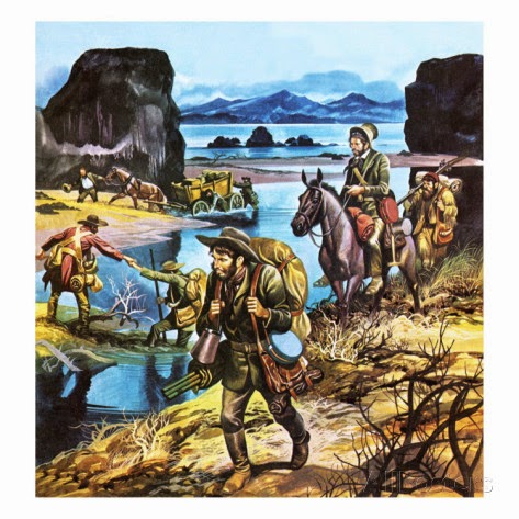 La Floropedia: LA FIEBRE DEL ORO (IV)