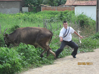 Elder Tanner Smoot: Wk 32 - I´d say it was a good week