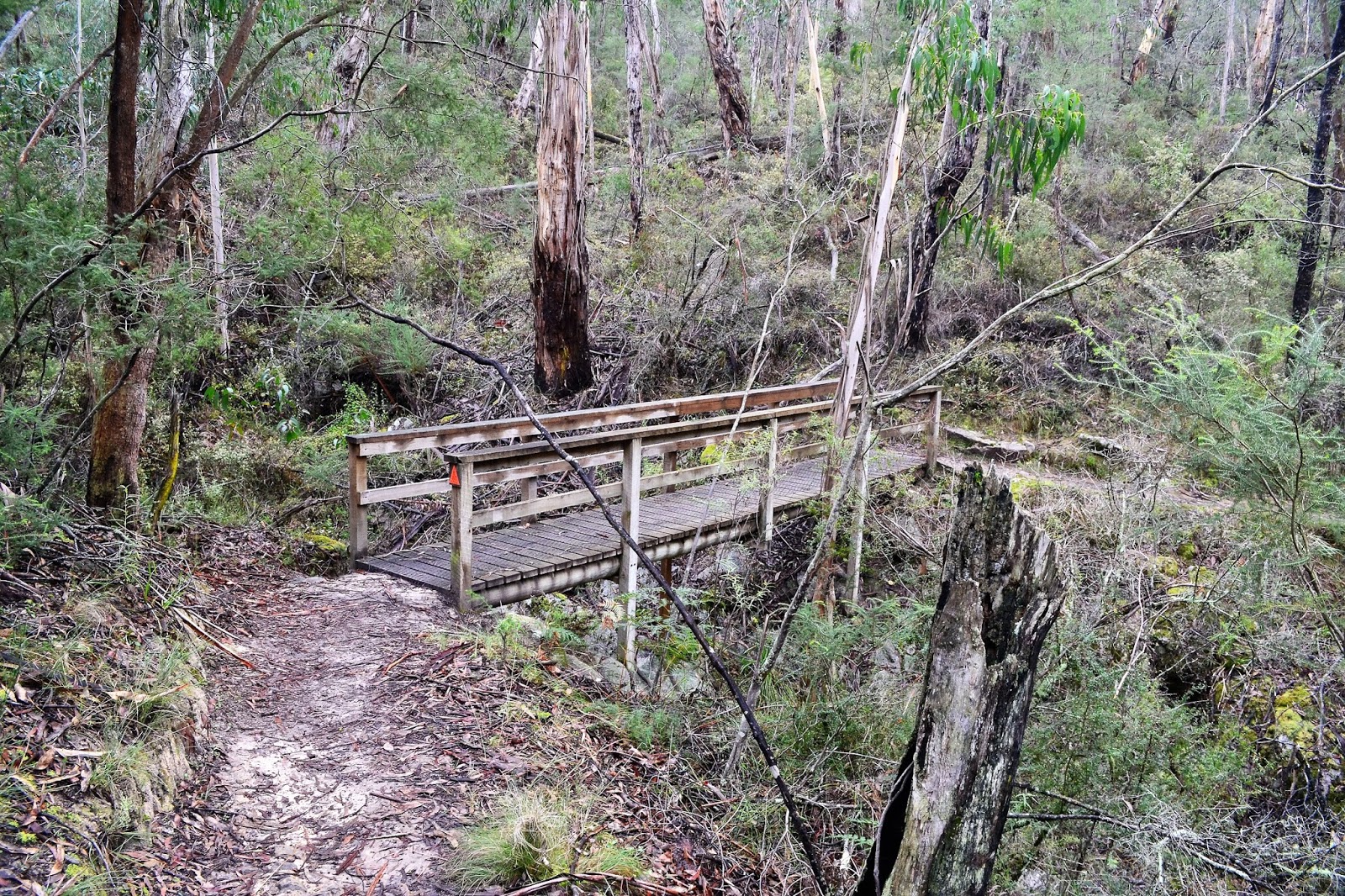 Goin' Feral One Day At A Time: Ironbark Gorge & Currawong Falls, Great ...