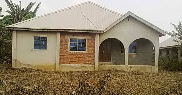 Freshforest: OUR LATEST PROJECT IN IGBESA ESTATE ON MASSIVE GROW AND ...