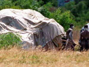 Voicewithin: "Culture" continues to claim more lives