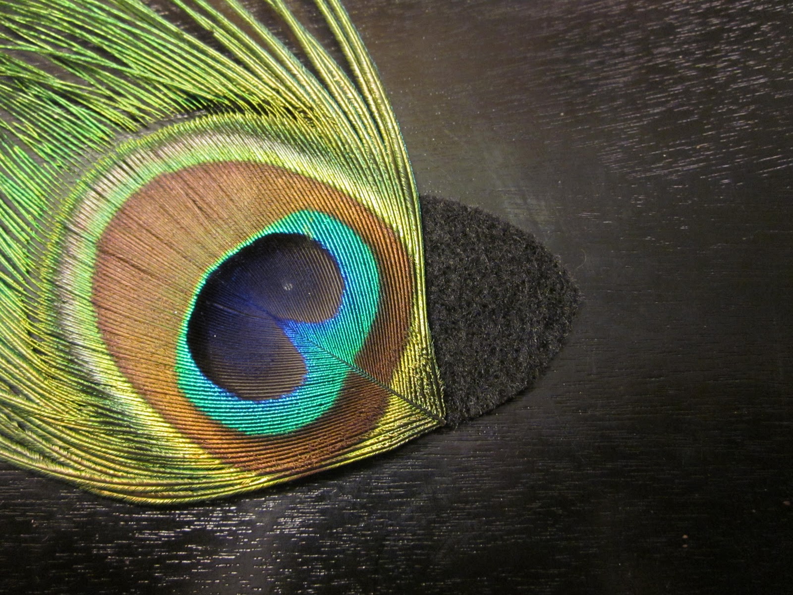 MindaFeathers: How to make a peacock feather Barrette