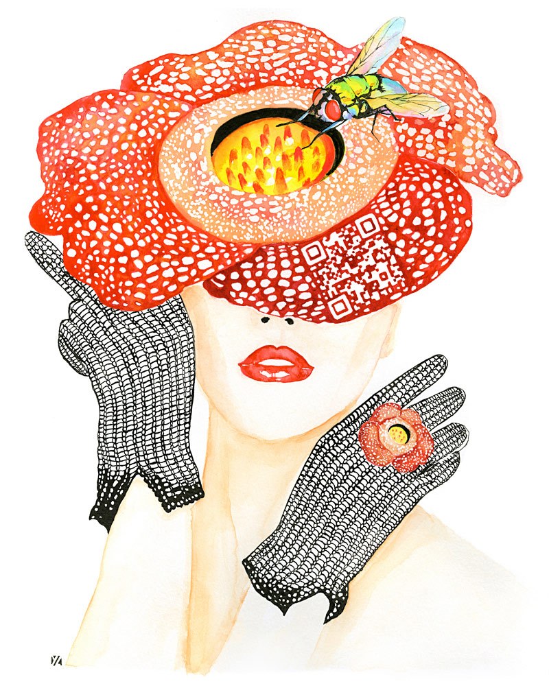 Rafflesia: Rafflesia: The Stinkiest Parasitic Queen