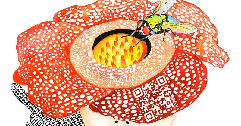 Rafflesia: Rafflesia: The Stinkiest Parasitic Queen