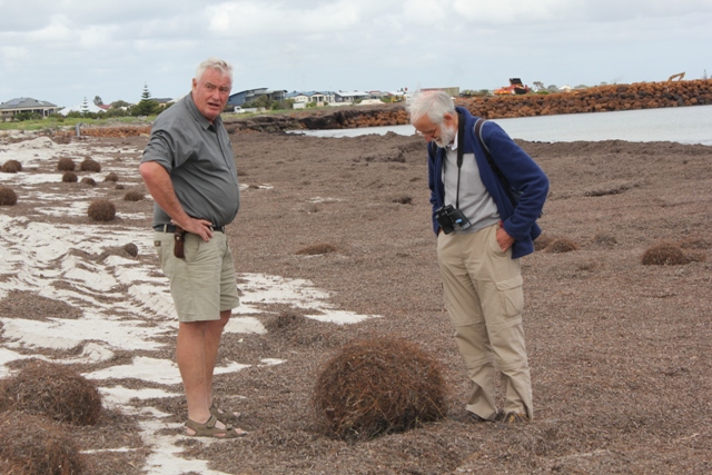 viajando: November 2011