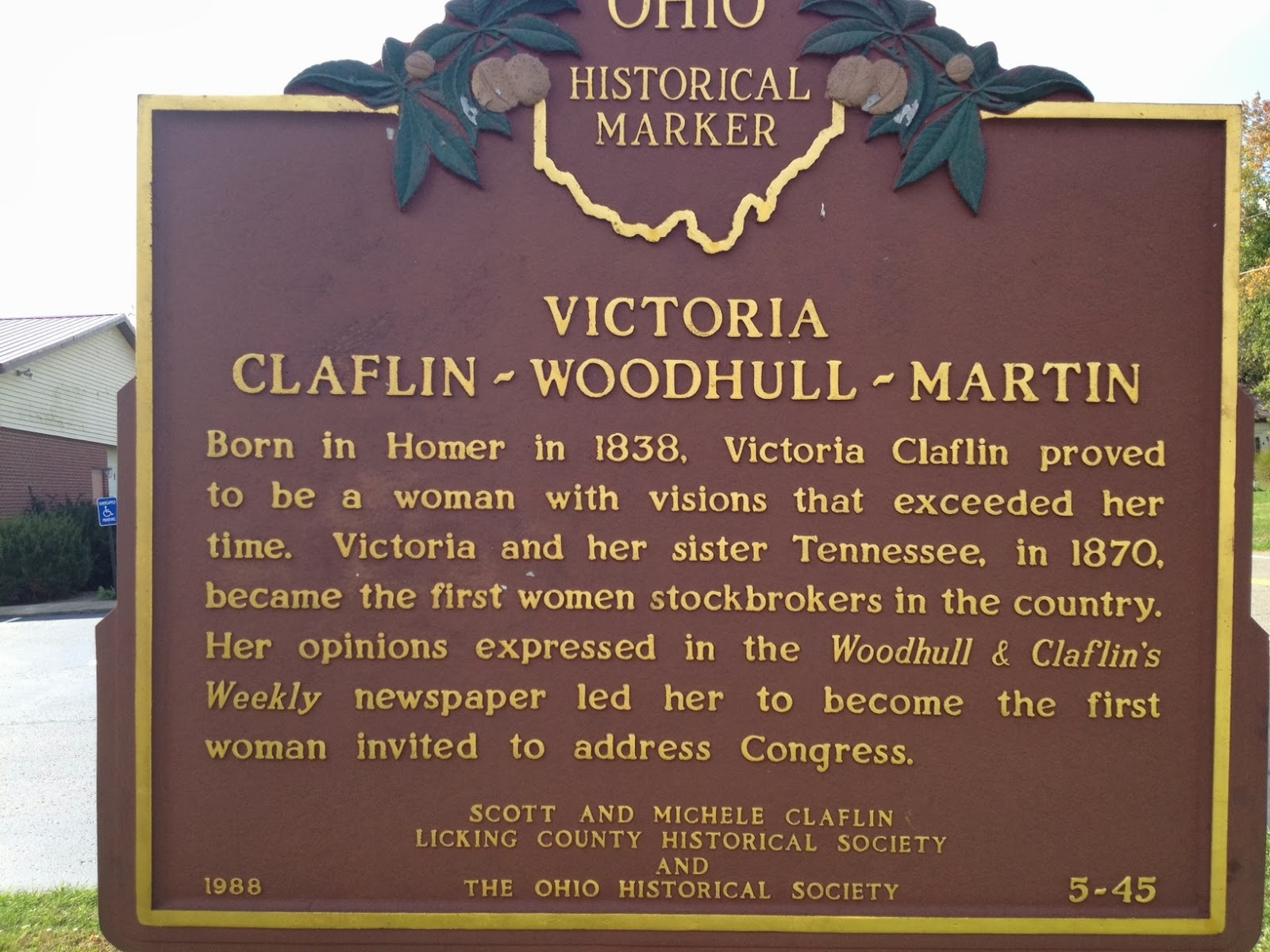 A Layman's Blog: Homer, Ohio.....................