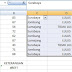 Cara Memfilter Data di Excel Dengan Mudah - Panduan Belajar Ms Office