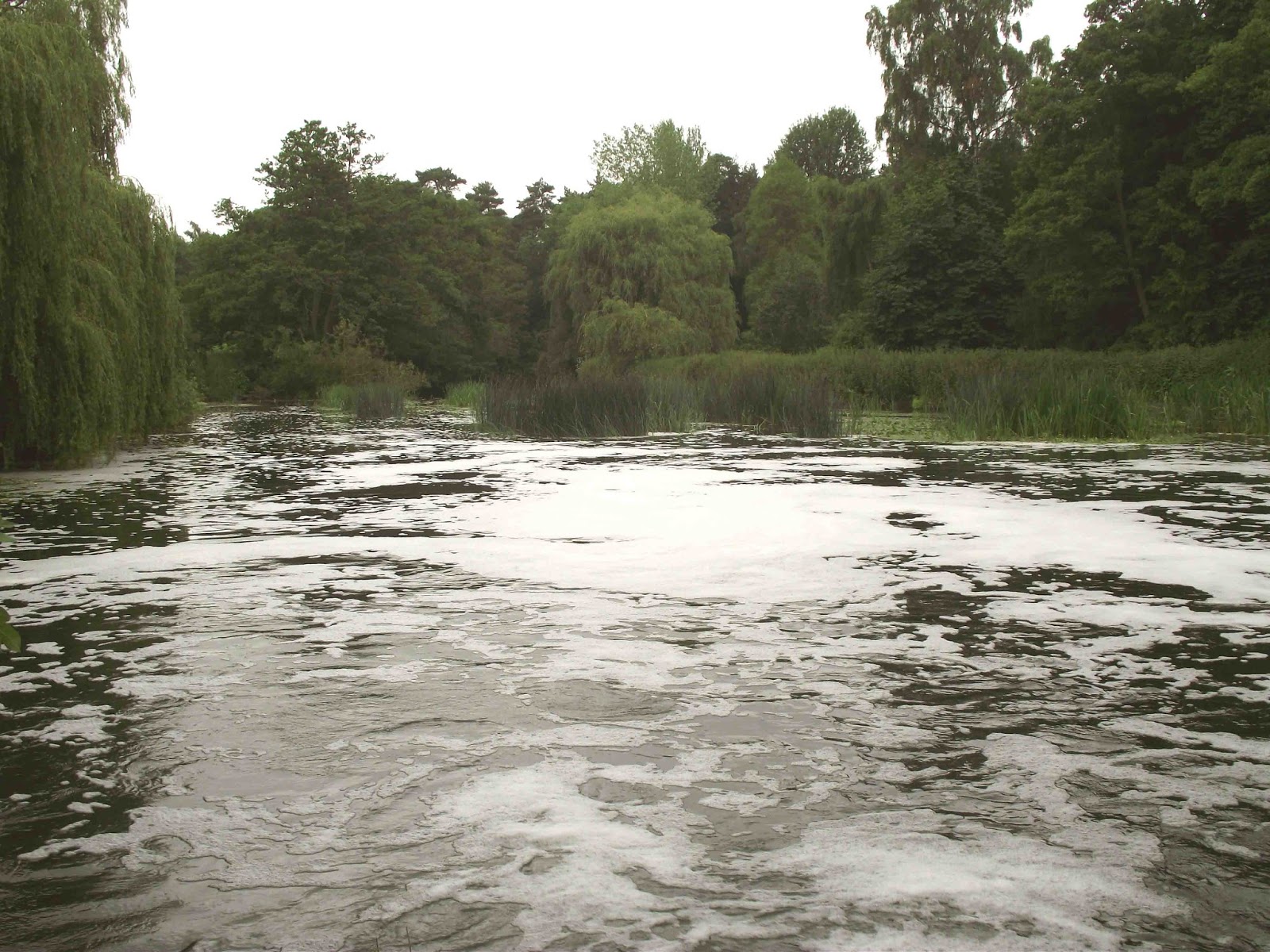 The Lure of Angling: Old rivers.