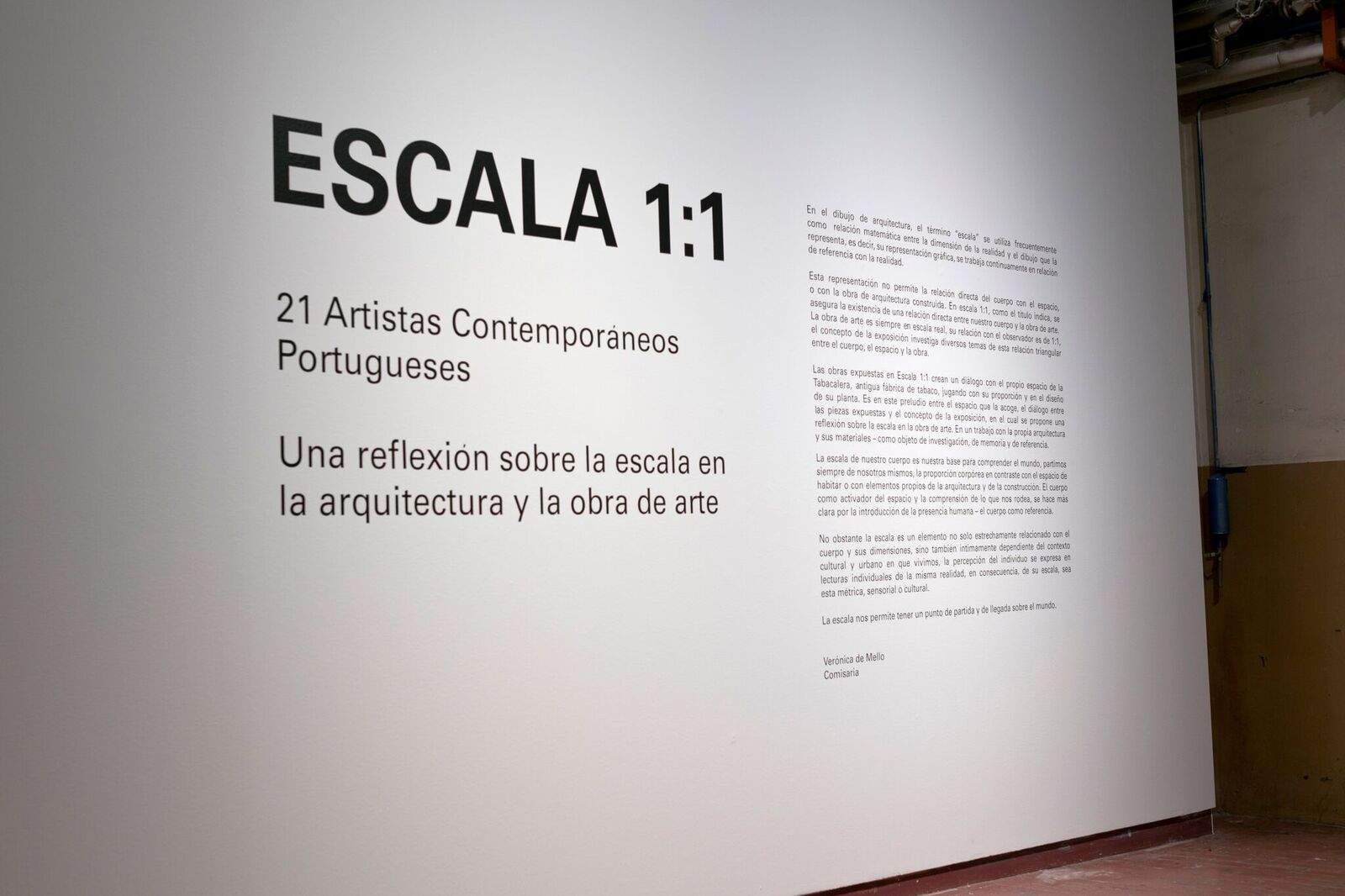 Artes que Cuentan: Artes que Cuentan : Artistas que Cuentan Exposición ...
