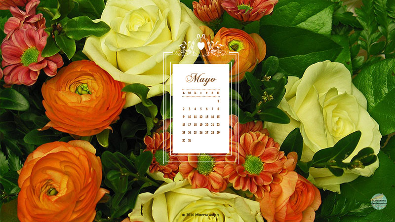 Fondos de pantalla con calendario de Mayo - Odisea gráfica