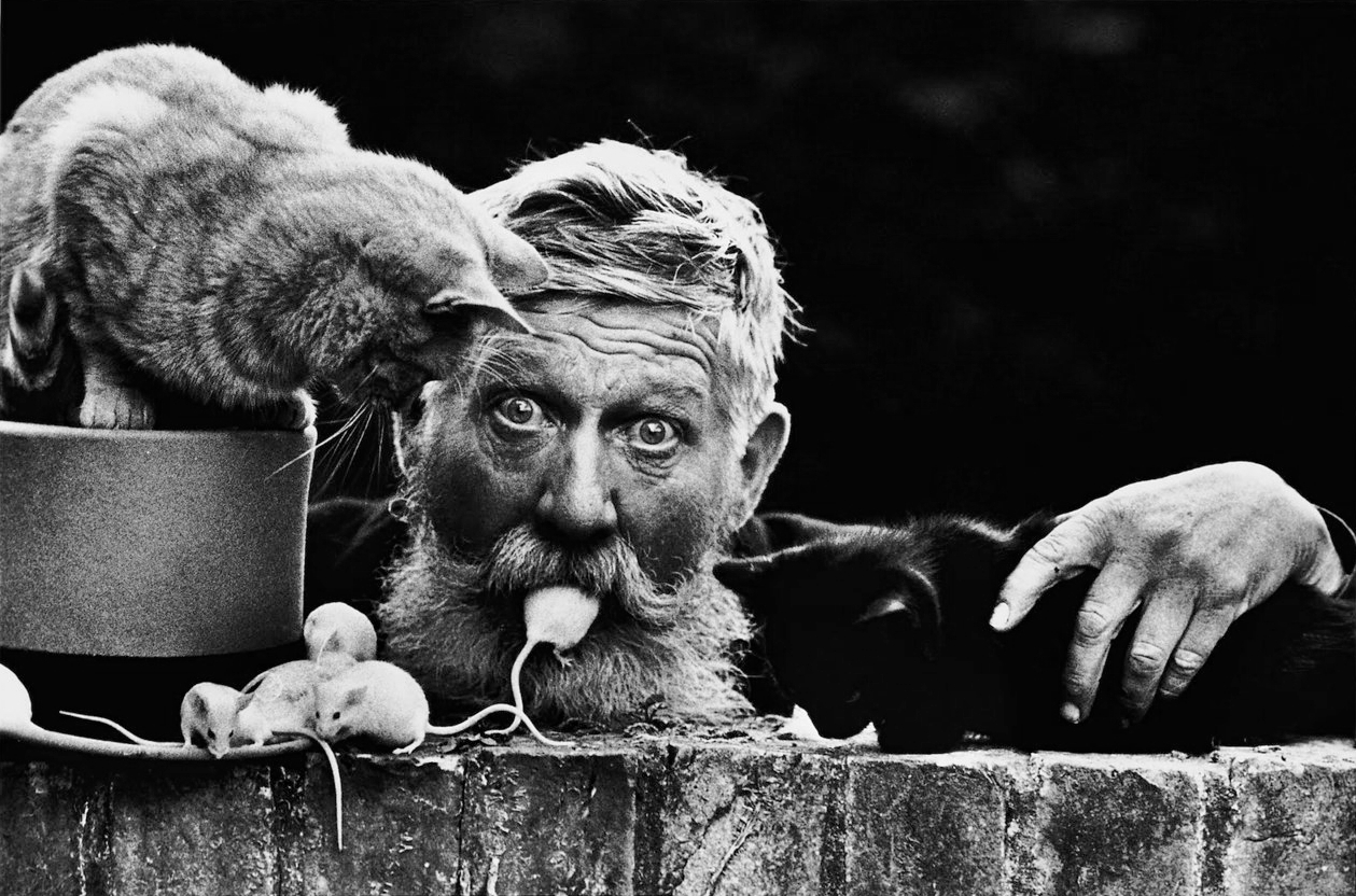 Krishicher Whackness: Catatonic