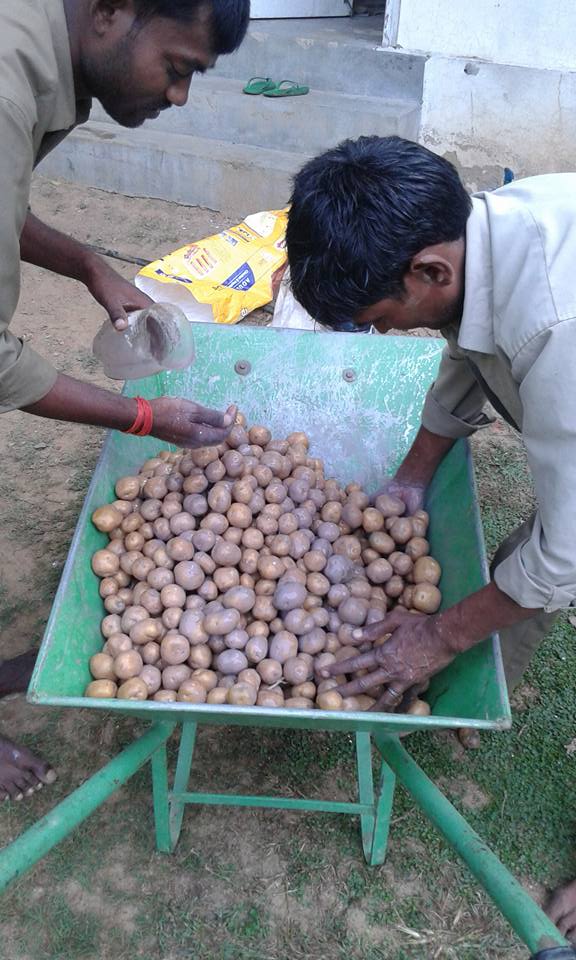 Seed treatment – Traditional methods