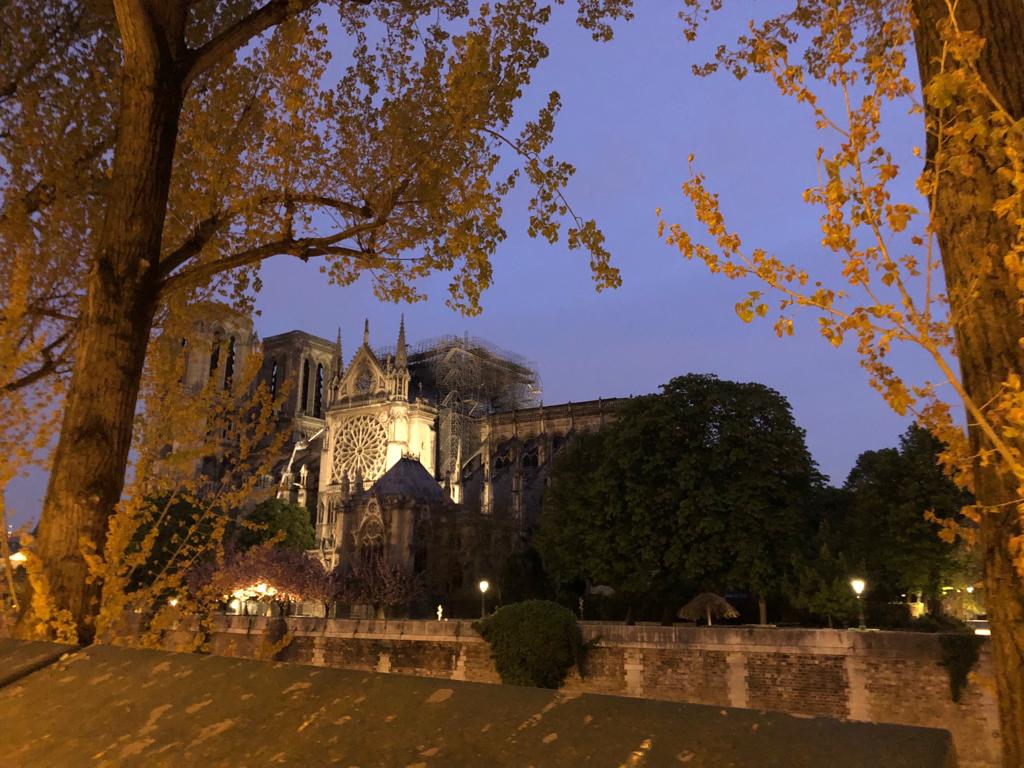 Le blog de Jeanne Smits: Au chevet de Notre Dame comme au chevet d'une ...