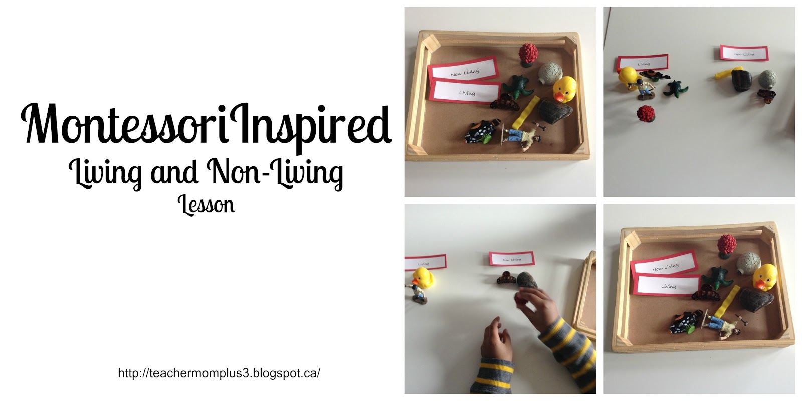 TeacherMomPlus3: Montessori Zoology-Living and Non-Living