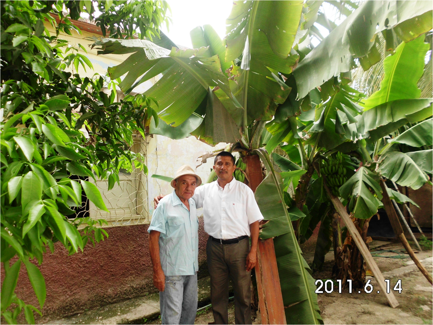 Artista Plástico: Luís Florencio Dedordy Ávila. Resumen de su Historia ...