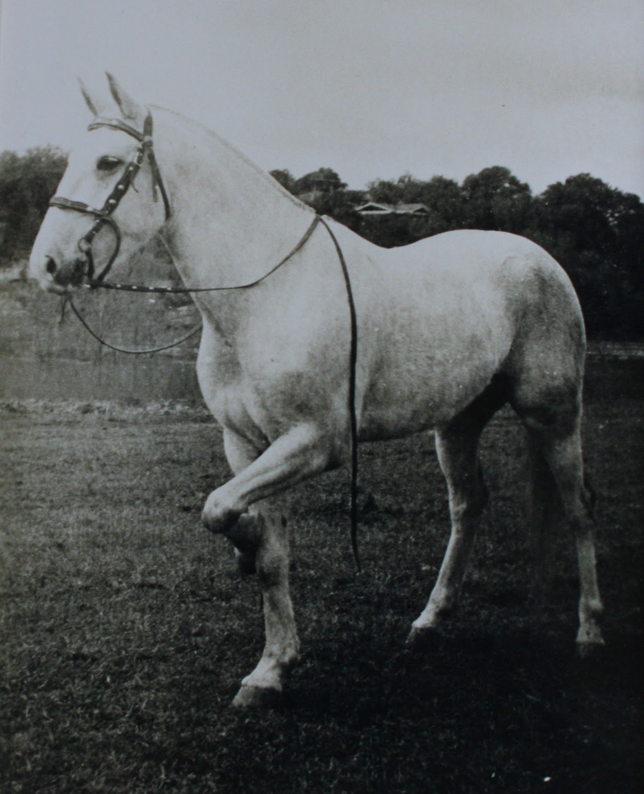 THE FAMILY HISTORY OF BILLY BLAIR: William Seaborn Digby: Basic Family ...