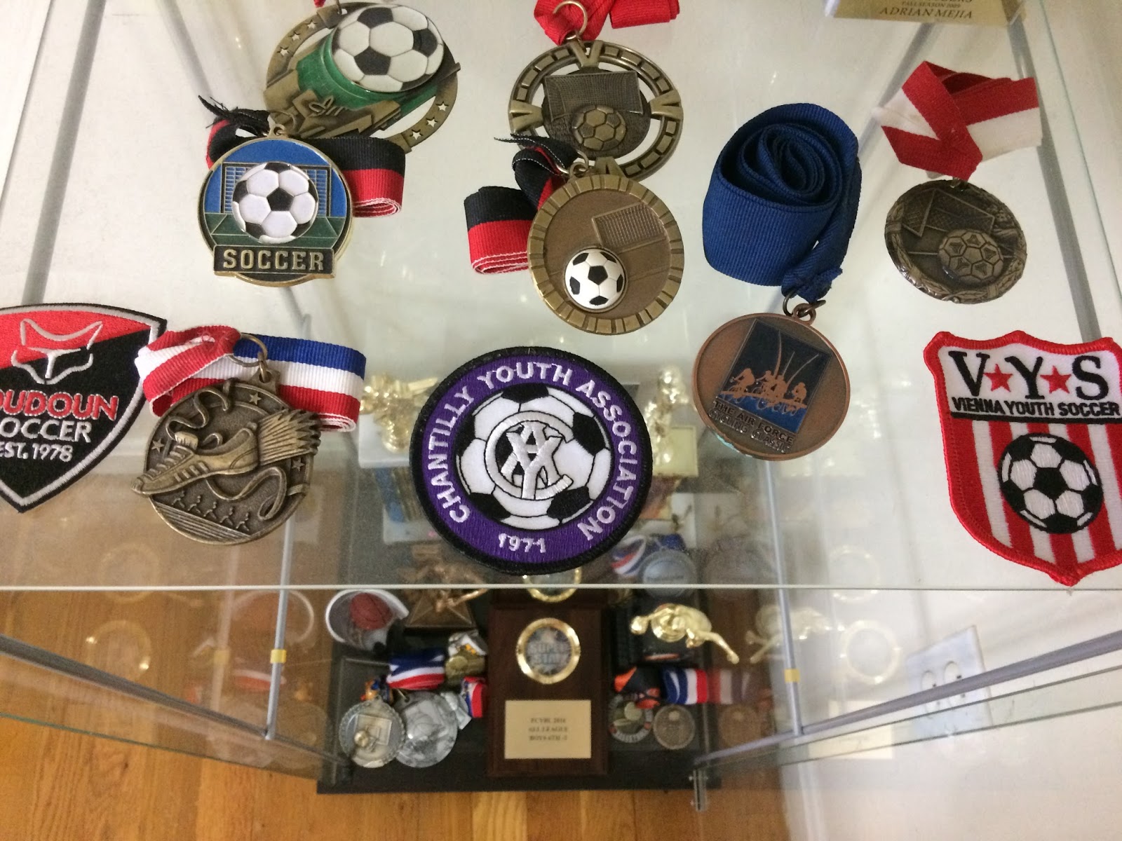 Confessions of a Sports Mama: Sports Mama Tip: Trophy and Medal Display ...
