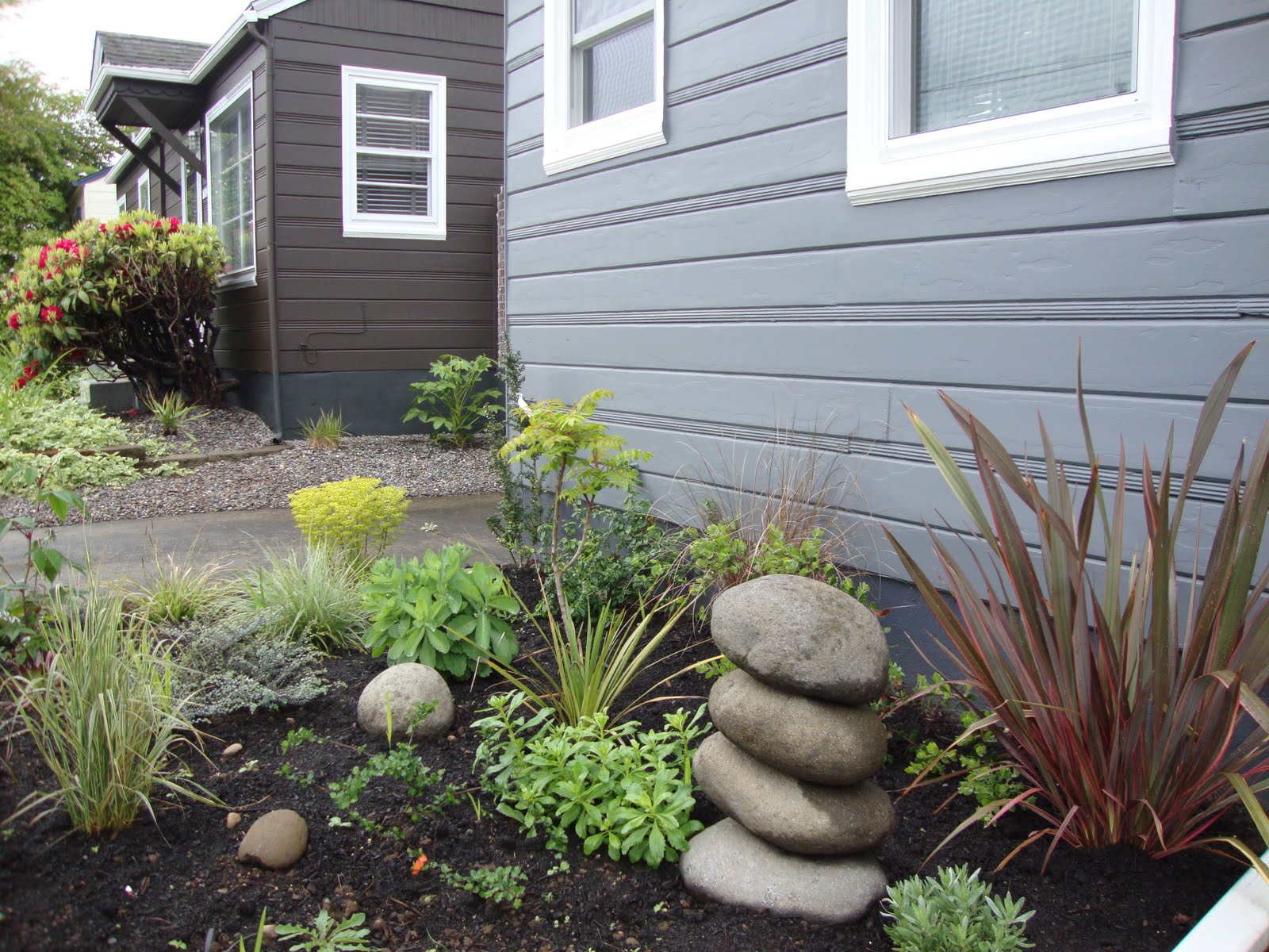 danger garden: Our neighbor’s garden…