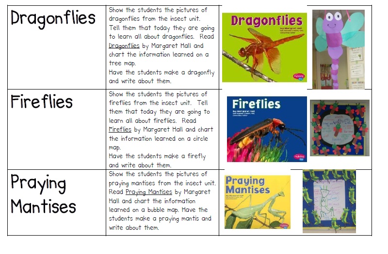 Insects Unit and a FREEBIE! - Mrs. Jump's Class