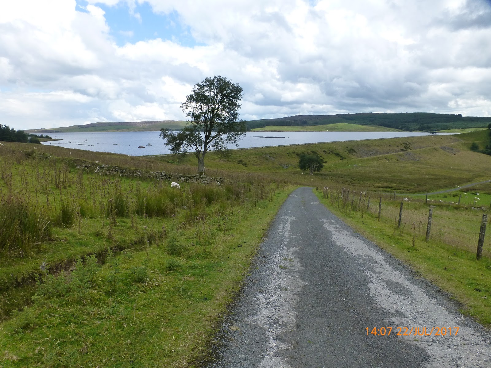 Harris Hikers: Llyn Brenig and Its Southern Environs 22nd July 2017