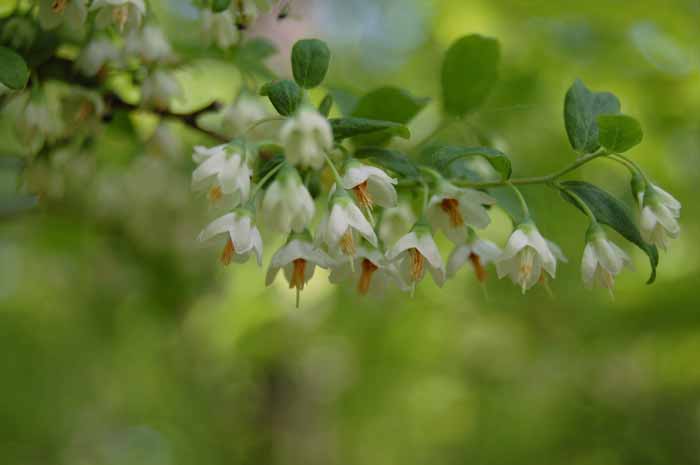 Mother's Day Hike at Weverton Cliffs on the Appalachian Trail