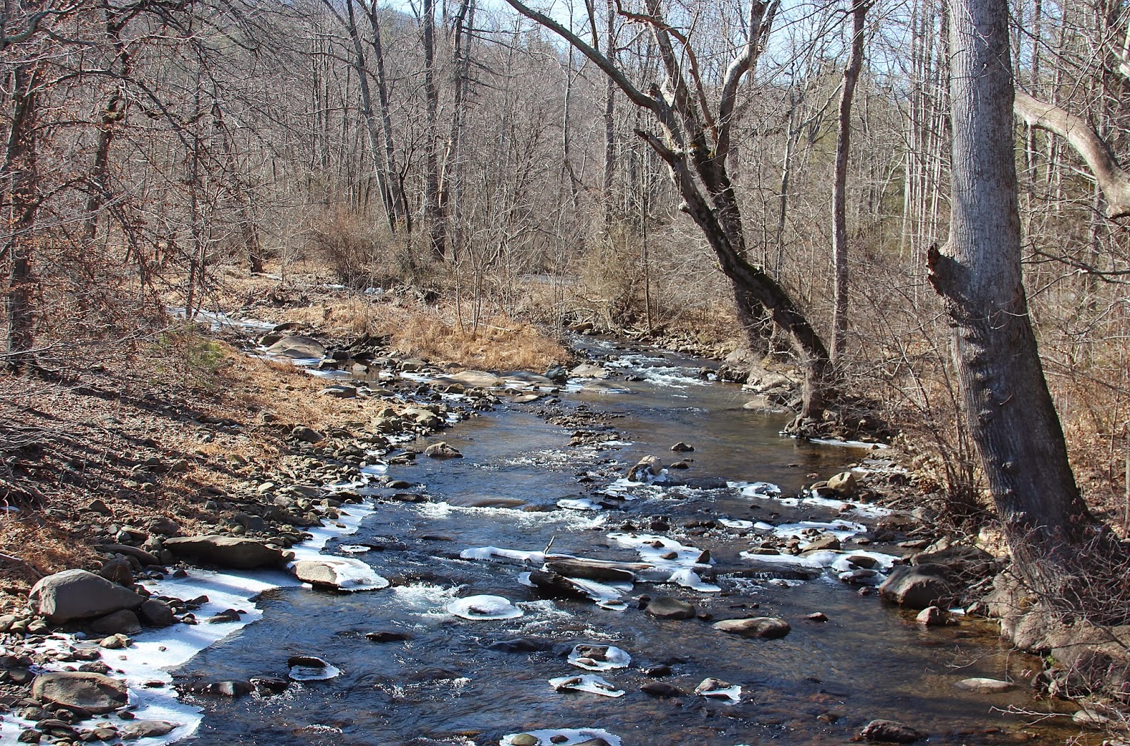 Aquatic Insects of Central Virginia: The small winter stonefly ...