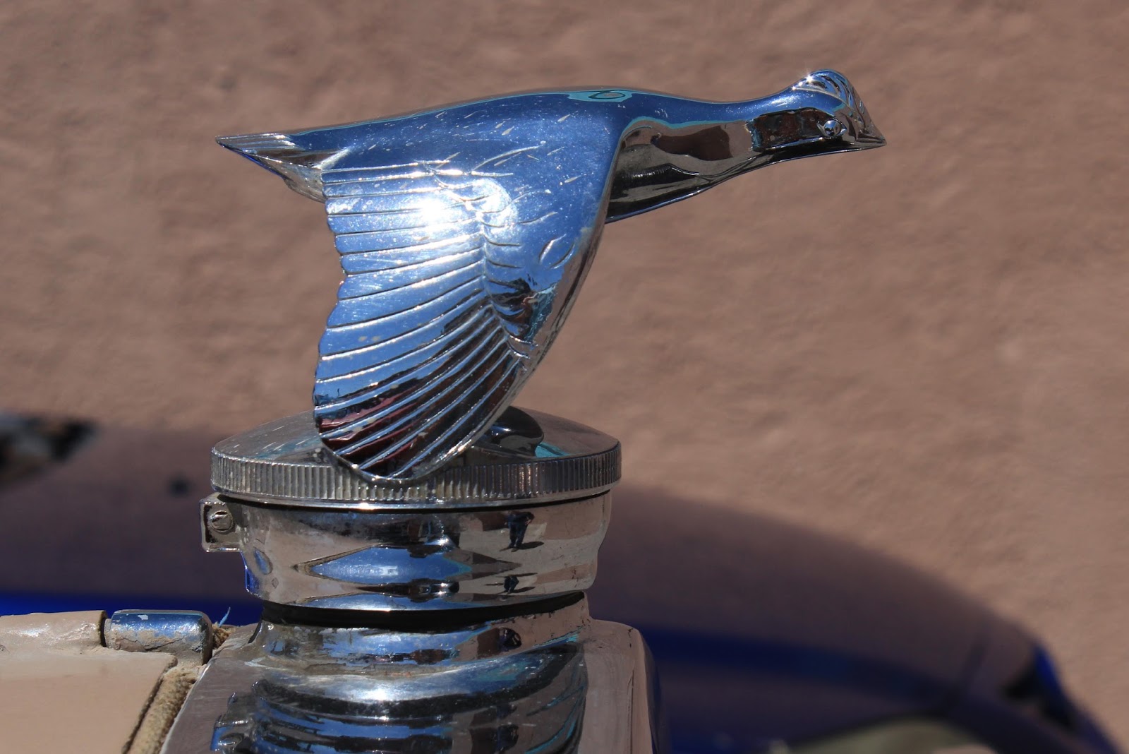 Images, various – Stephen Bodio