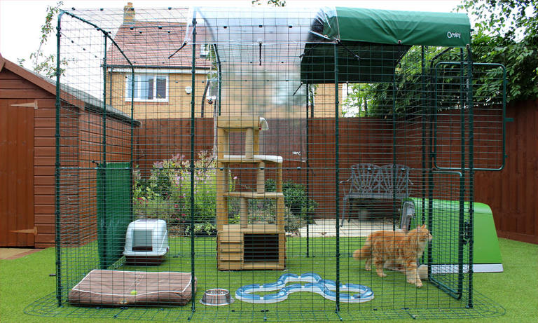 22 Rumah kucing ideas haiwan peliharaan, kraf, reban - idea rumah ... 22 Rumah kucing ideas haiwan peliharaan, kraf, reban - idea rumah ...