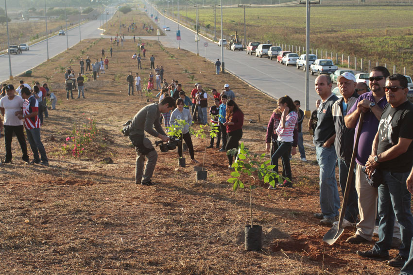 Acciones para cuidar el planeta: La reforestación.